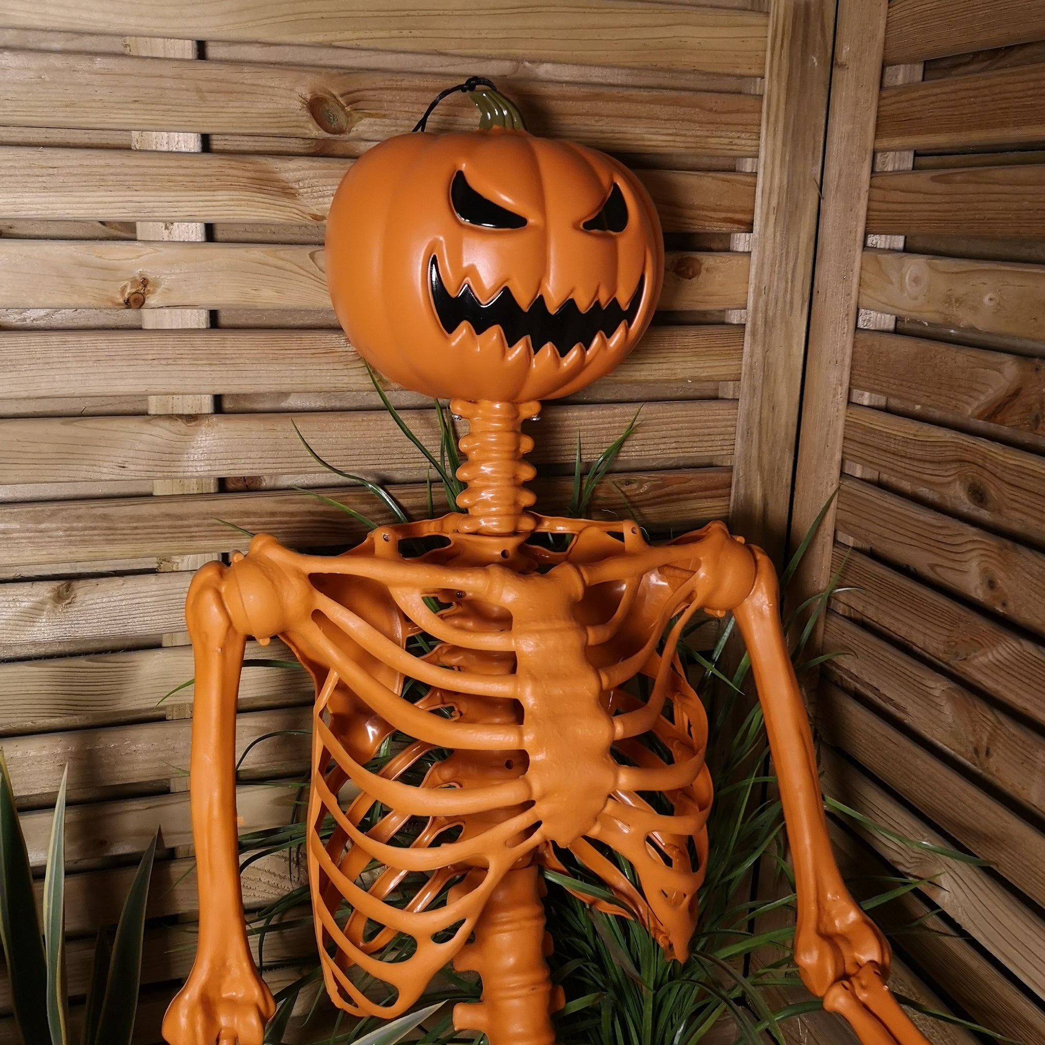 150cm (5ft) Posable Halloween Pumpkin Skeleton Decoration– Cheaper Online