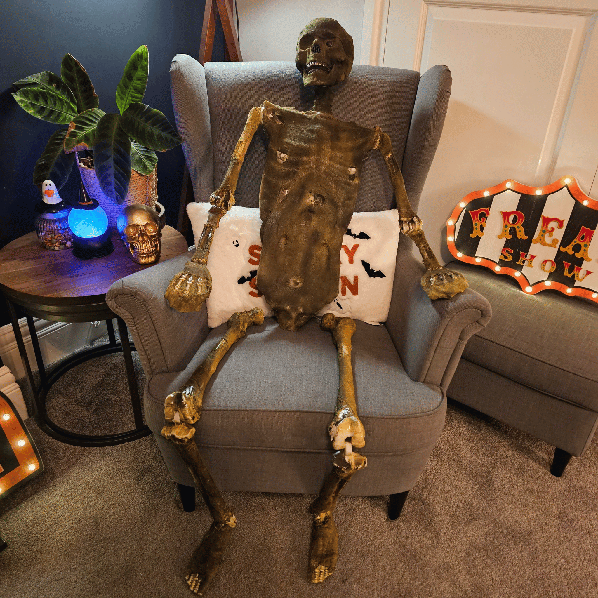 5ft (150cm) Full Body Halloween Mummified Skeleton Decoration with Pos ...