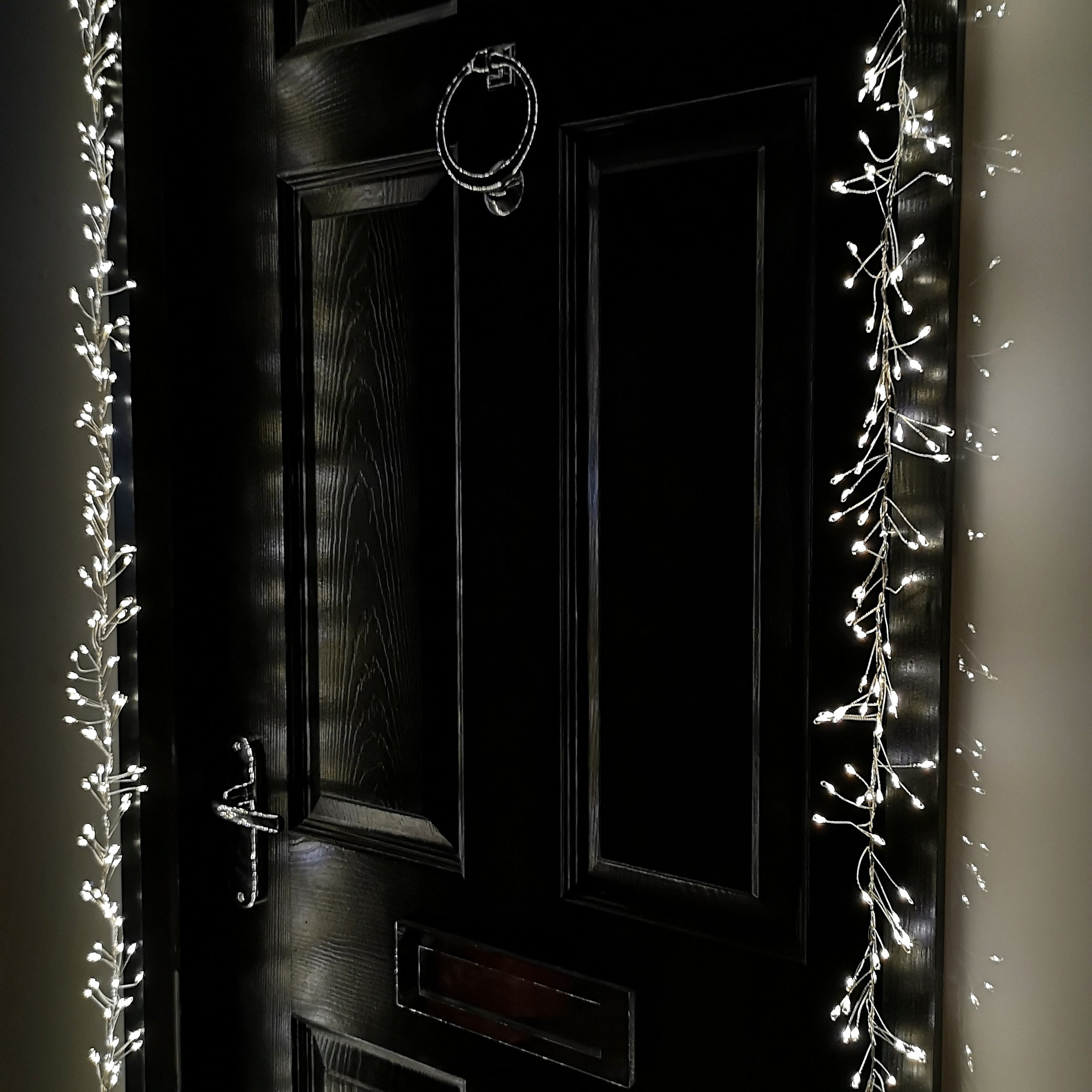 5.5m 880 LED Indoor Outdoor Christmas Door Lights in Warm White ...